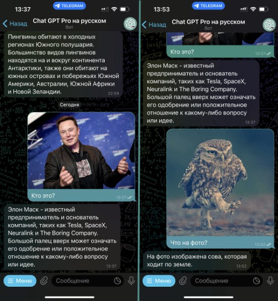 Научили Chat GPT отвечать на фото - Chat AI на русском | Boosty