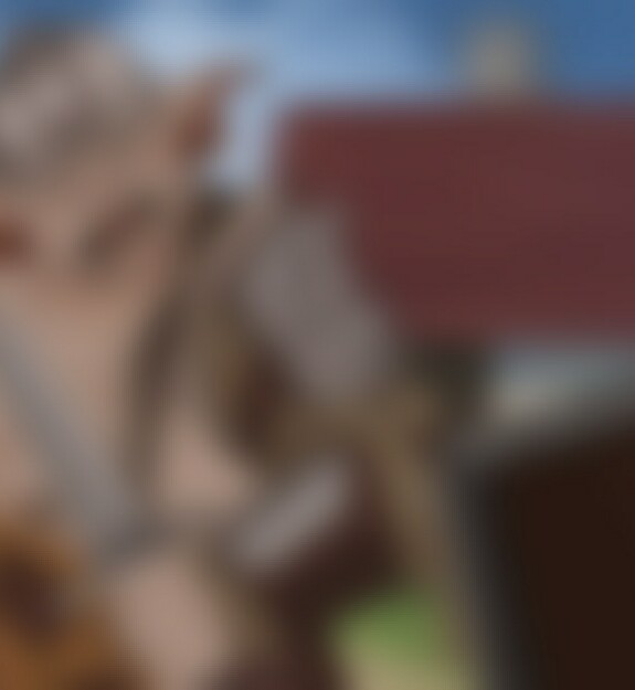 Alcyone legends - exclusive content on Boosty