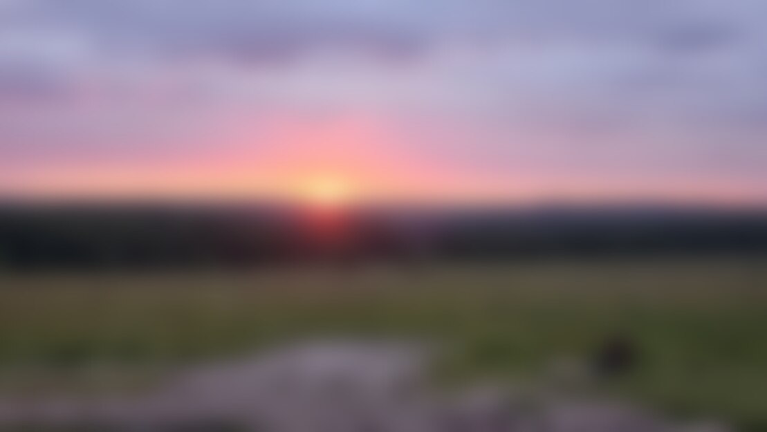 Beautiful sunset on the farm - Countryside Acres In Russia | Boosty