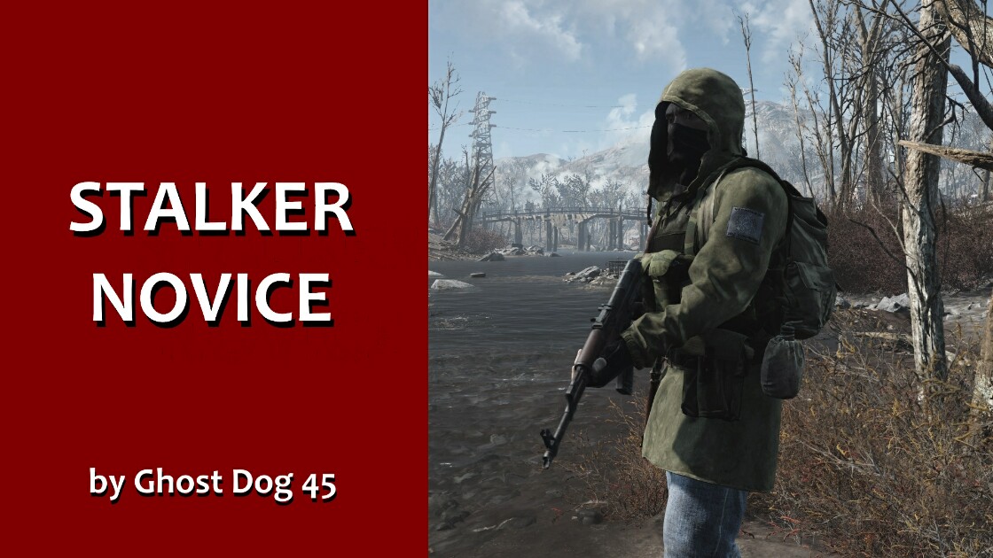 FALLOUT 4 - Stalker Novice [Mod Information] - Ghost_Dog_45 | Boosty