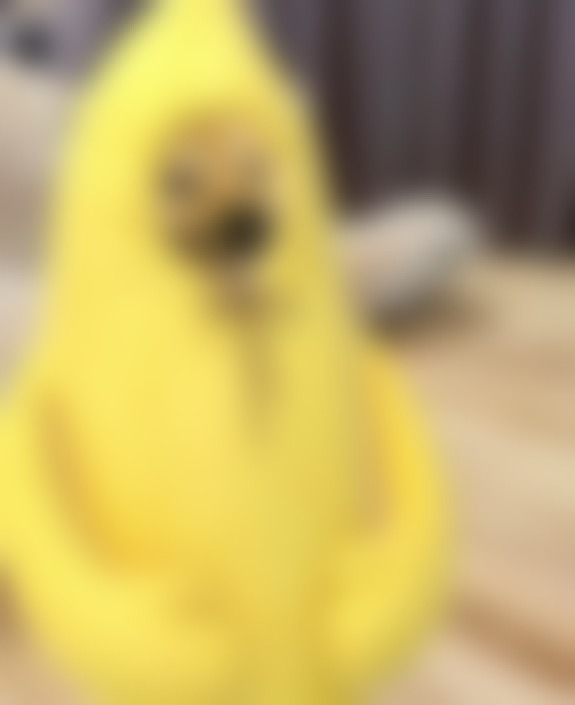 GIROK пост от 10.03.2022 на Boosty