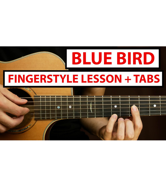 Blue Bird - Fingerstyle Lesson with Tabs on Screen - Fingerstyle Club ...