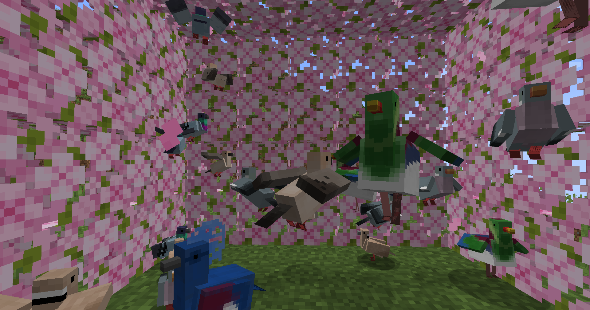 Pigeons Minecraft mod! - EndeRaptoR | Boosty