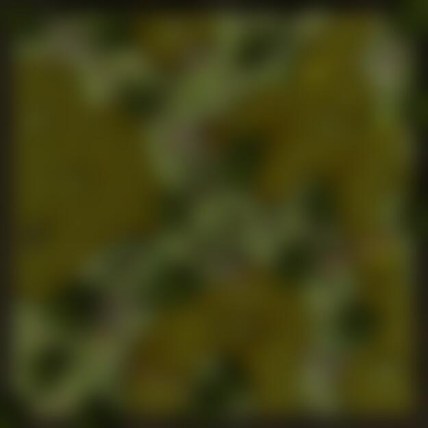 Generic Swamp Map - Quill Of Damocles | Boosty