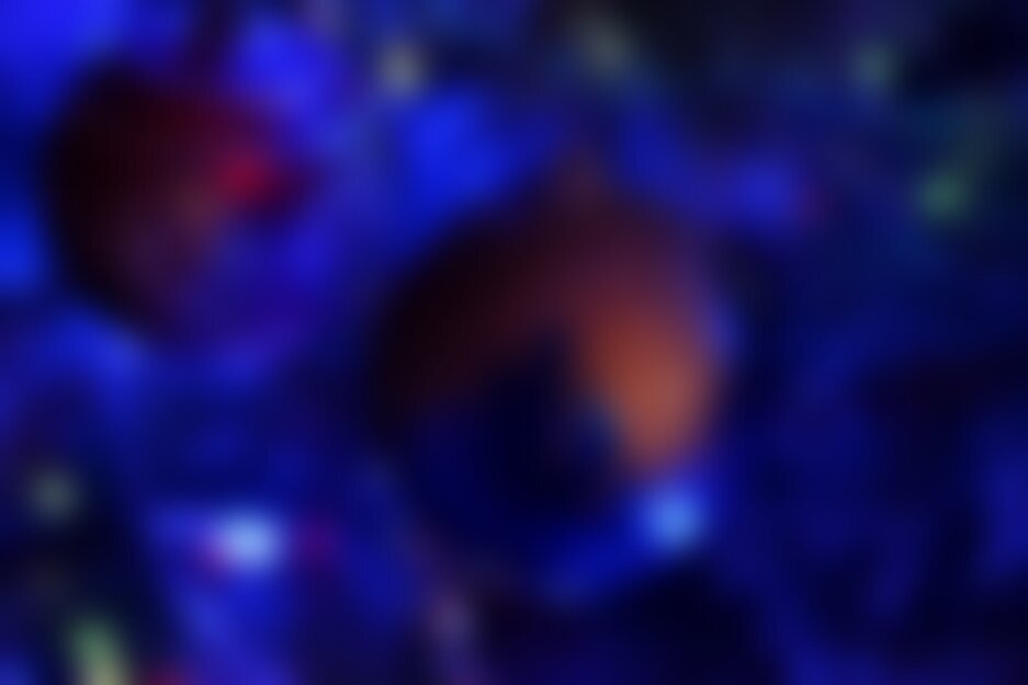 Нечестная елка - Дмитрий RAY | Boosty