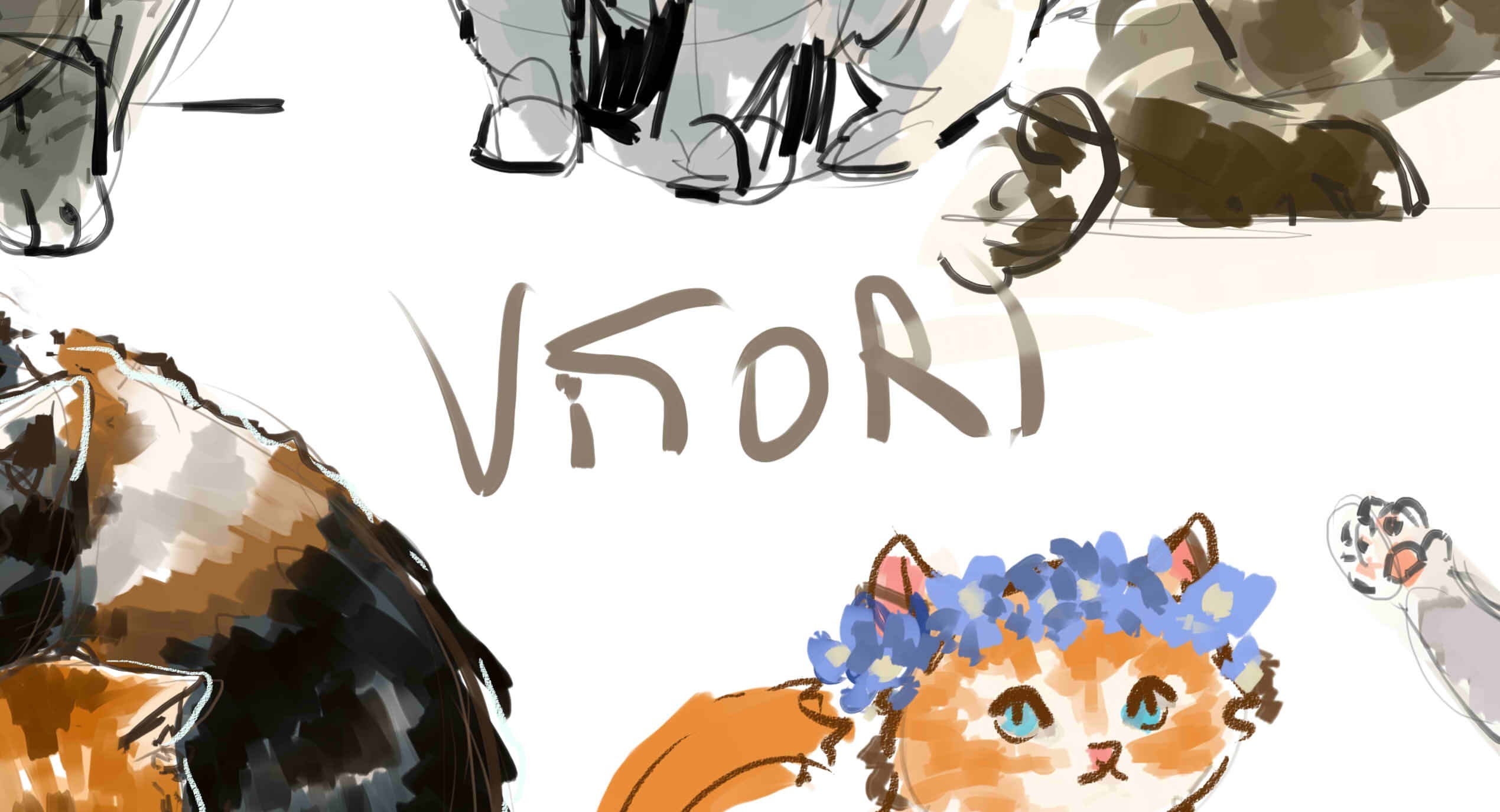 Стадики котиков - V-TORI | Boosty