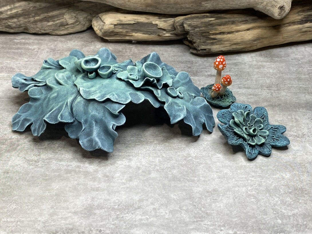 Lichen dragon - Evgeny Hontor | Boosty