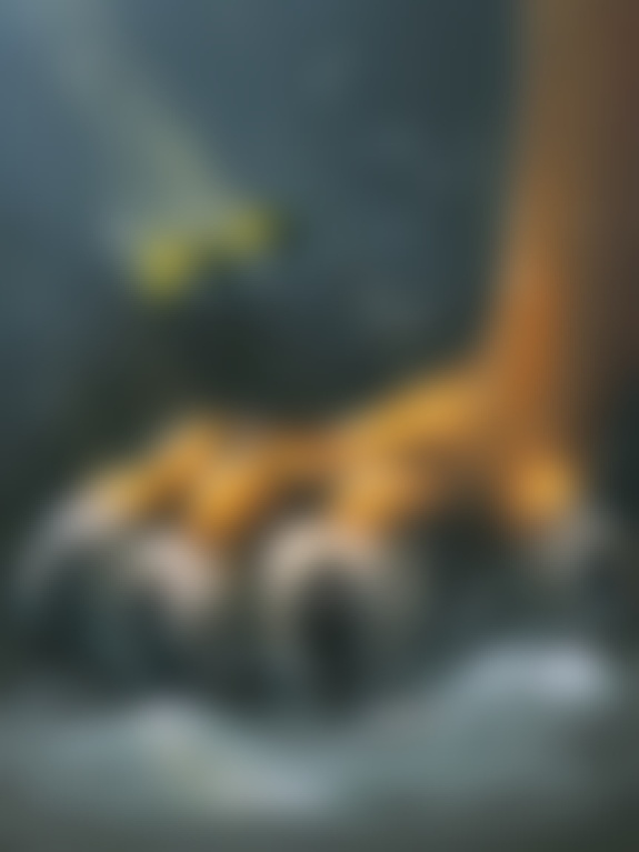 Flamix - exclusive content on Boosty