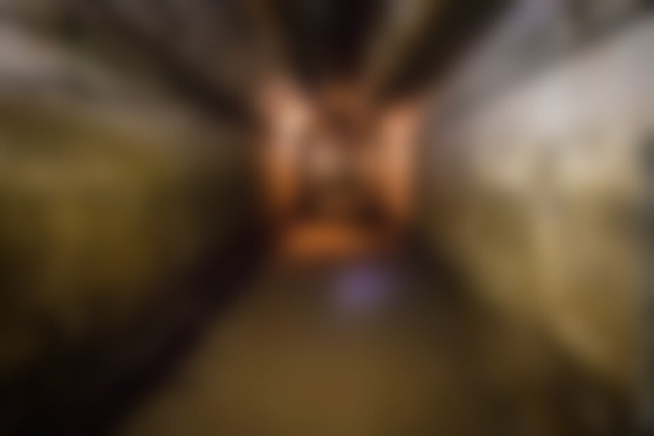 Употребление дикого единорога в пищу и как его ловить? - Дмитрий RAY | Boosty