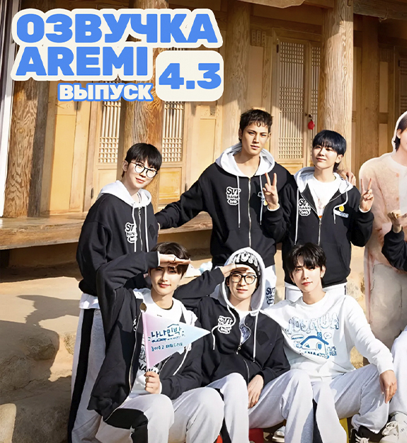 НАНА BNB С SEVENTEEN 4.3 СЕРИЯ - AREMI SHOW ОЗВУЧКА ШОУ | Boosty