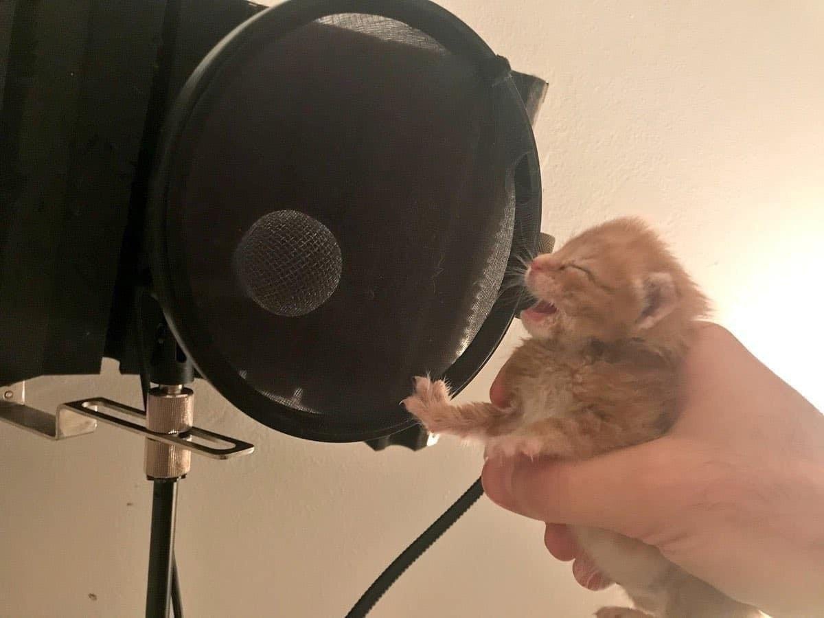 НУ ЧЁ, ПАЦАНЫ, ЭРОН-ДОН-ДОН? - IGM | Boosty