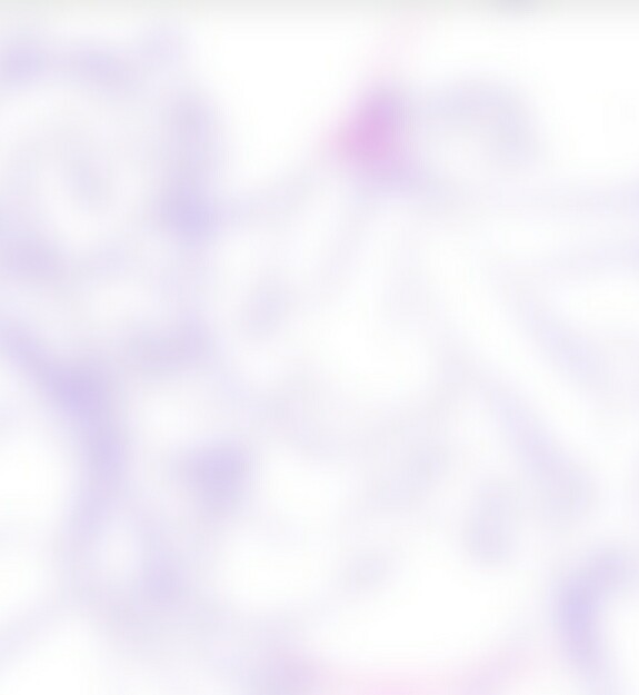 Shikigrei - эксклюзивный контент на Boosty