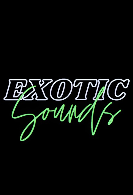 Exotic_Sounds: Project SOUND REVOLUTION - exclusive content on Boosty
