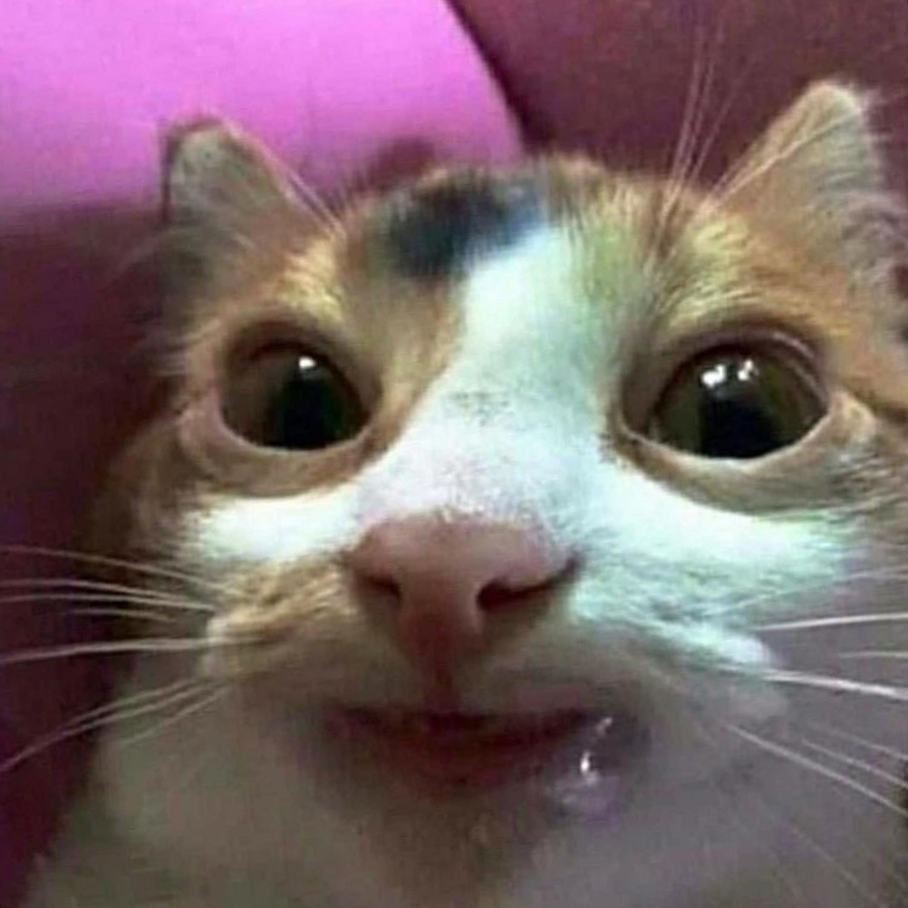 GIROK - exclusive content on Boosty